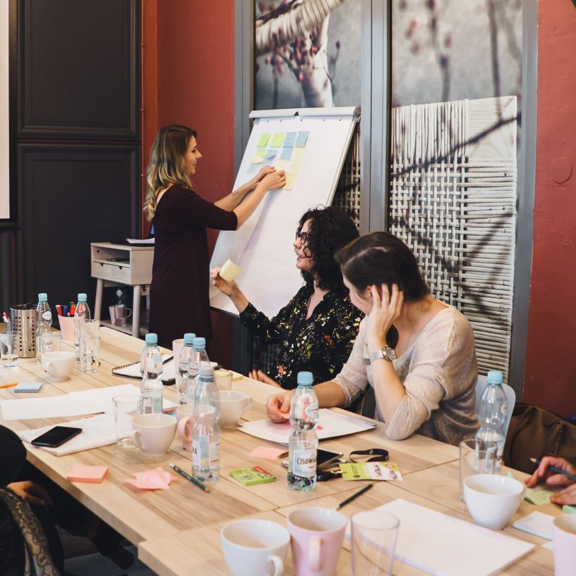 How we work - Anima International