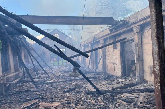 Anima International - For a future free from animal suffering