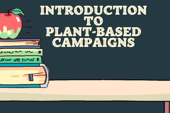 Anima International - For a future free from animal suffering