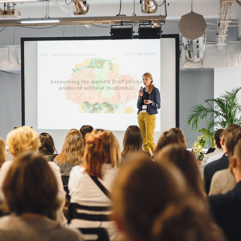 How we work - Anima International