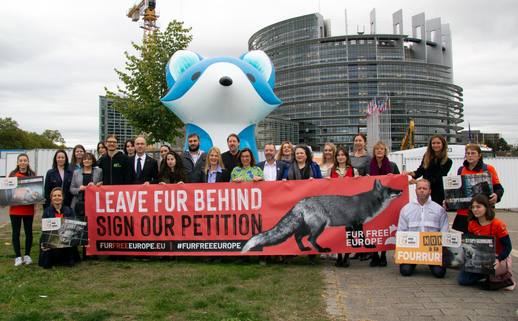 We fight for the fur farming ban in the European Parliament - Anima ...