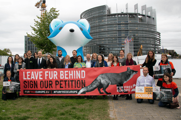 Anima International - For a future free from animal suffering