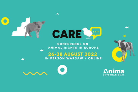 Anima International - For a future free from animal suffering