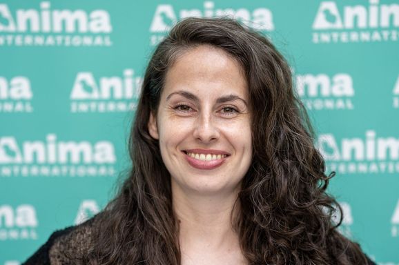 Anima International - For a future free from animal suffering